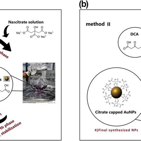 Ftir Spectroscopy Of Citrate‐capped Gold Nanoparticles Aunps Download Scientific Diagram