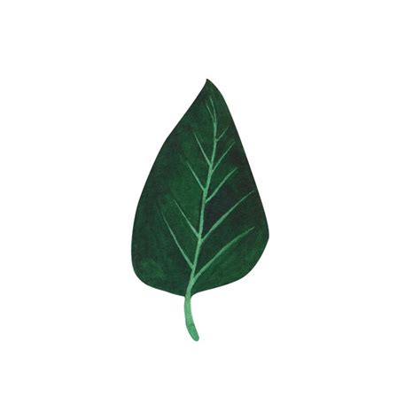 Page 22 Leaf Freepik Images Free Download On Freepik