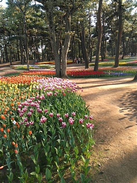 ミク 1926999 1809 1