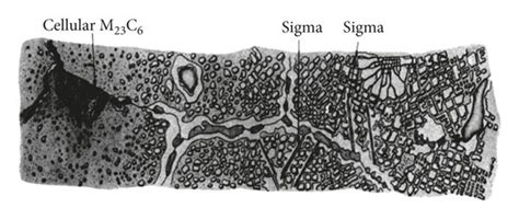 Coherency Strain Generated By Precipitates And The Base 18