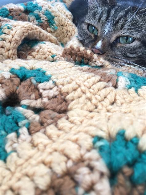 21 Best U Pixieled Images On Pholder Aww Houseplants And Discworld