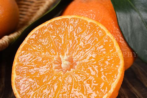 红美人柑桔七张报纸 站酷zcool