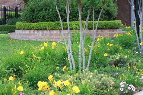 Roses And Other Gardening Joys Grassless Grandeur Garden Tour