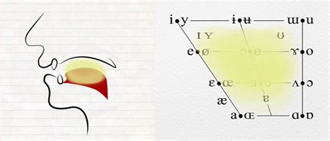 British English Ipa Variations Pronunciation Studio