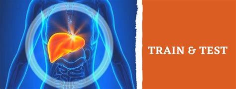 Liver Segmentation Part 44 Train The Model Pycad