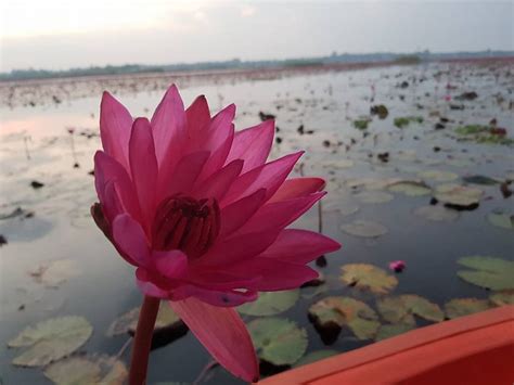 Cpn Construction Isaan