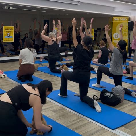 Puppy Yoga Sydney Classes In Chatswood Parramatta Rhodes And More