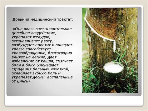 «Каучуки» - презентация онлайн
