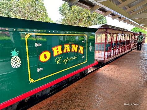 Fun Things To Do At The Dole Plantation On The North Shore