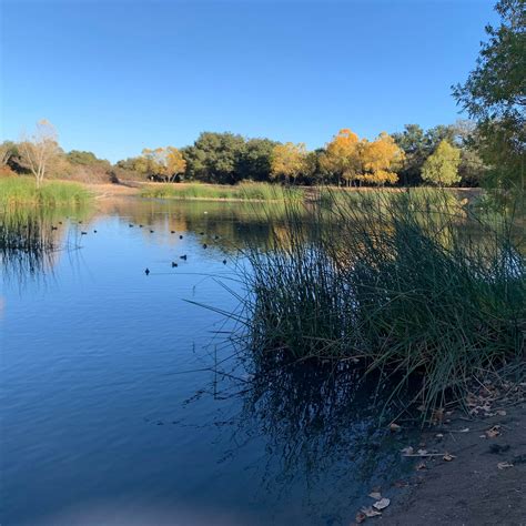Dos Picos County Park Camping Poway California