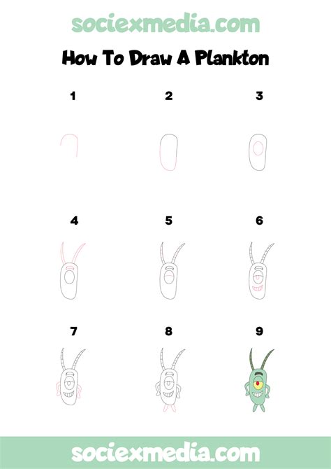 How To Draw Plankton Easy Step By Step Digital Pdf Art Tutorial For