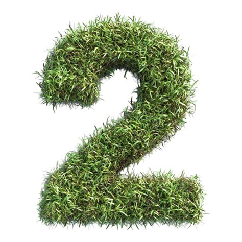 Number 2 Grass 54785344 Png