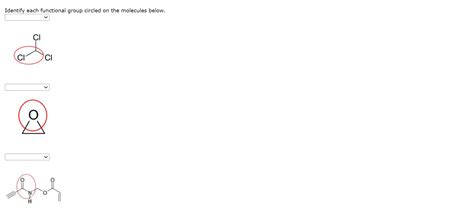 Solved Identify Each Functional Group Circled On The