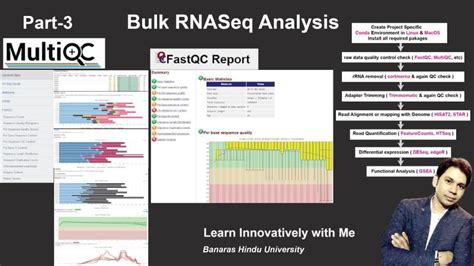 Bulk Rna Seq Analysis Tutorial Shashi Bhushan Chauhan Posted On The Topic Linkedin
