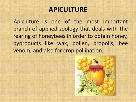 Apiculture An Introduction Ppt