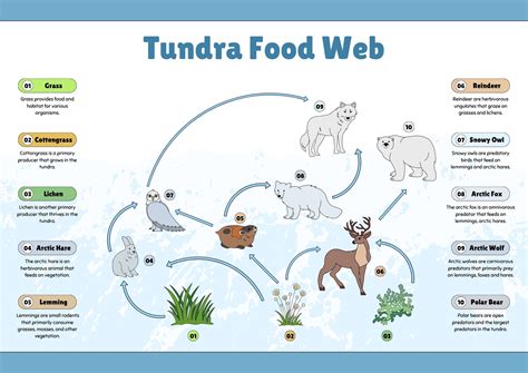 Page 13 Free And Customizable Reindeer Templates