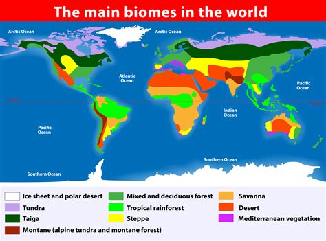 Biome Map Coloring Worksheet Printable Calendars At A Glance