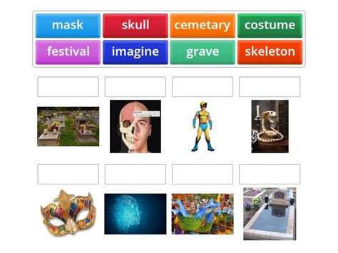 Primary3 Unit 8 Reading Match Up