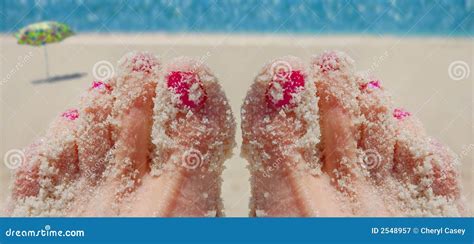 Sandy Toes Stock Image Image Of Leisure Getaway Sand 2548957