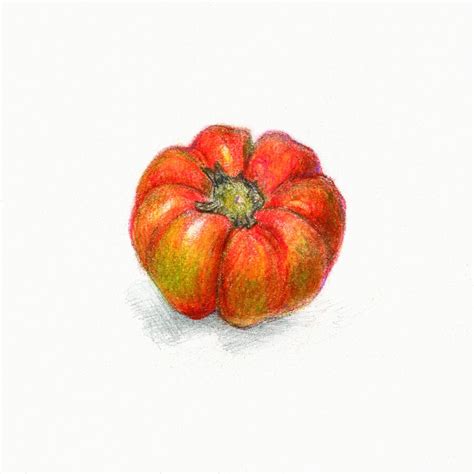 Botanicals — Heidi Nitze