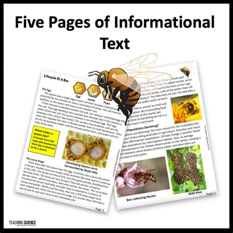 Honey Bees Life Cycle And Bee Reading Endangered Species Animal Adaptations
