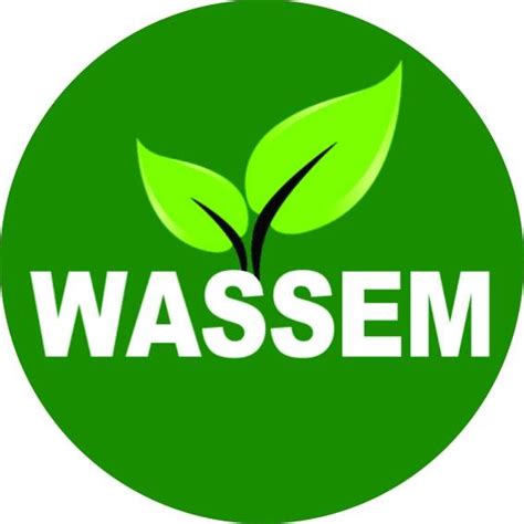Fertilizant Foliar Wassem Bucharest
