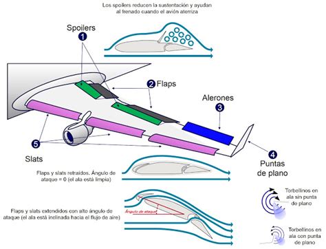 El Vuelo De La Gran Avutarda