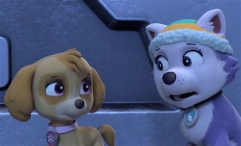 Pin By Cristian Peñaranda On Everest Skye Paw Patrol Marshall Paw