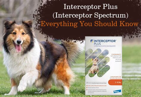 Interceptor Plus Interceptor Spectrum Everything You Should Know