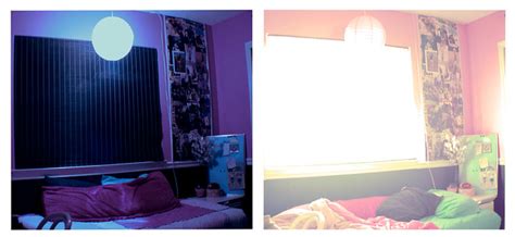 Allison Redner Flickr