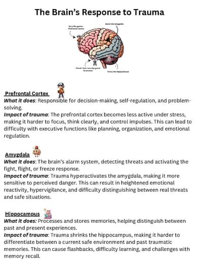 The Brains Response To Trauma Tpt