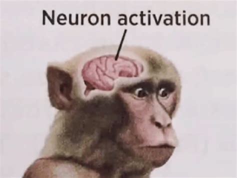 Neuron Activation Meme Neuron Activation Descubrir Y Compartir S