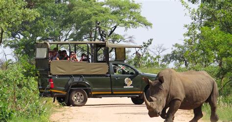 Kruger National Park Kruger National Park Wildlife Safari