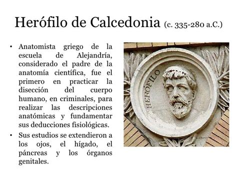 El Mentidero De Mielost Historias De La Medicina Andrea Vesalio Y El