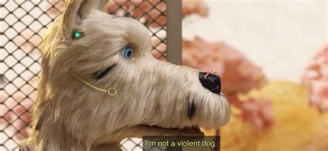 Summer Sons On Tumblr