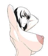 Post Fatal Frame Misaki ML