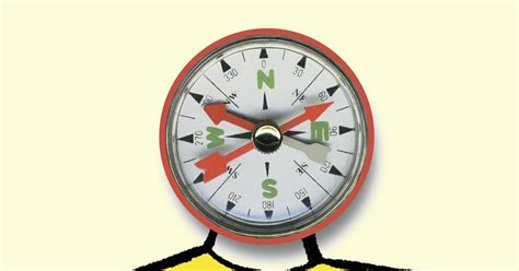 Navigating A Career In Academia And Beyond Dr Philippa Cook