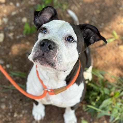 Esmerelda Abc Columbia