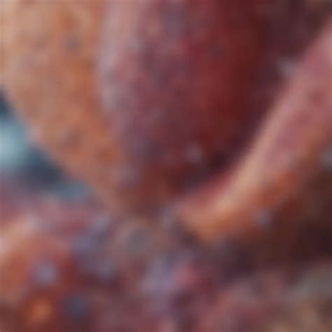 Understanding Prostate Cancer Pathways To Prevention