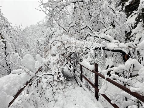 한파주의보에 설악산 등반산악회원 2명 숨진 채 발견 한국경제
