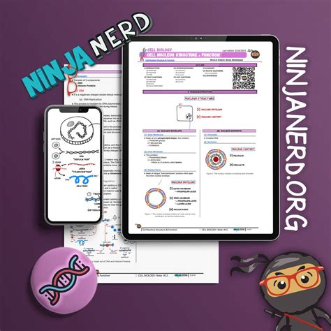 Cell Nucleus Structure And Function Notes Ninjanerd Medicine