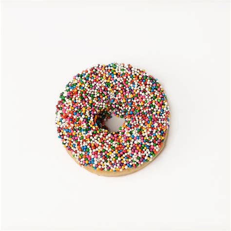 Rainbow Sprinkles Donut