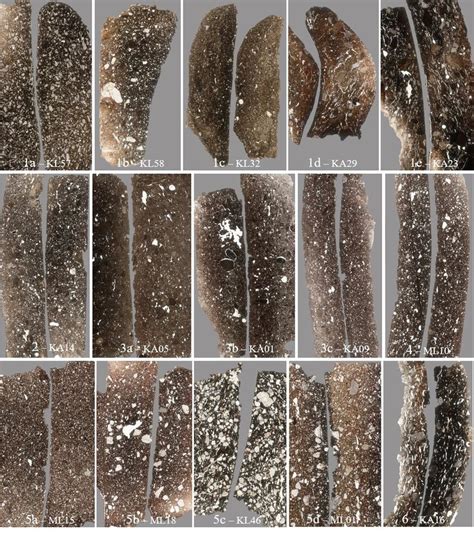 2 Scans Of Potsherd Thin Sections Belonging To The Different Groups