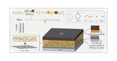 Poly Ether Ester Based Solid Polymer Electrolytes With High Li Ion Transference Number For High