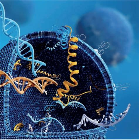Learn How Exosomes Enable Companion Diagnostic Development In