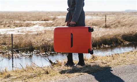 Samsonite Torna Se Parceira Da One Tree Planted Luxwoman