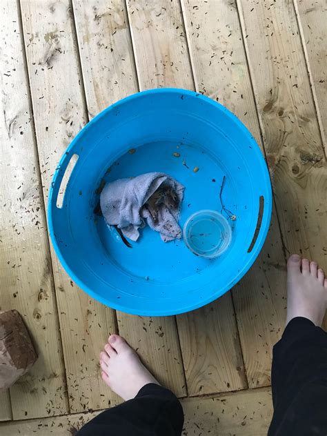 My Friends Found This Squirrel On The Side Of The Road They Took Him