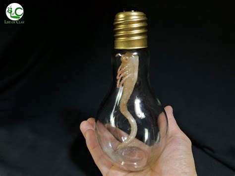 Self I Made A Glow Bug Sculpture Rsculpture