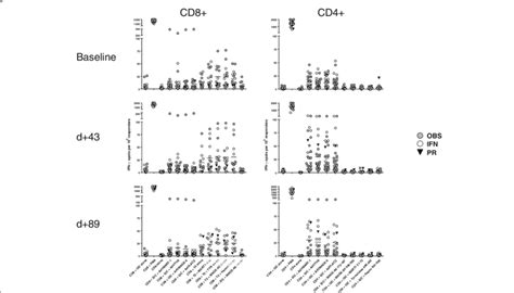 Ifnγ Elispot Assay For Purified Cd8 And Cd4 T Cells A Direct Download Scientific Diagram