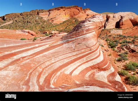 Beautiful Red And White Stripes Of The Fire Wave Sandstone Formation In Valley Of Fire State
